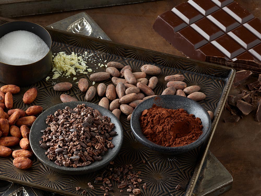 Types of Chocolate: Just The Basics - Forté Chocolate